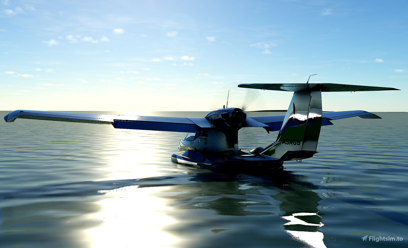 Chrome Icon A5 for Microsoft Flight Simulator | MSFS