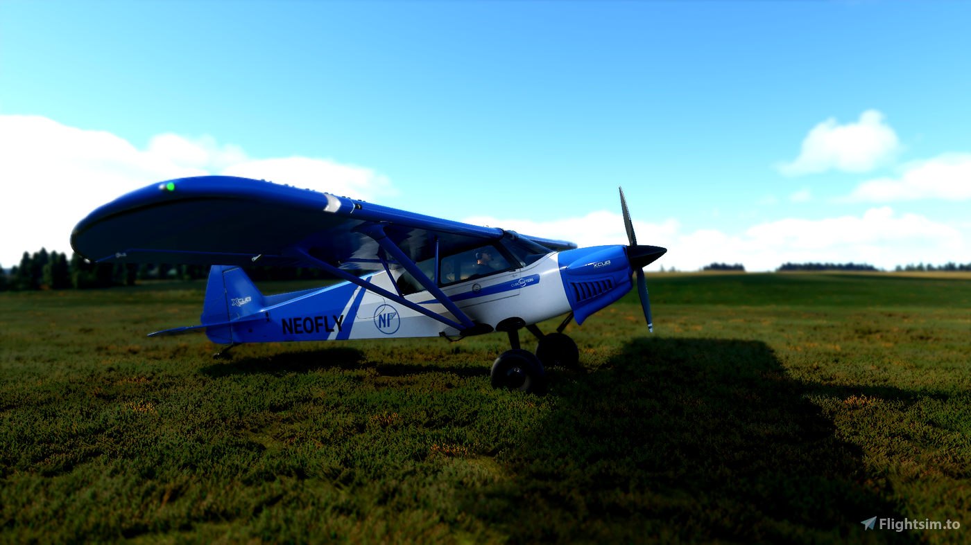 X-Cub Neofly Classic for Microsoft Flight Simulator | MSFS