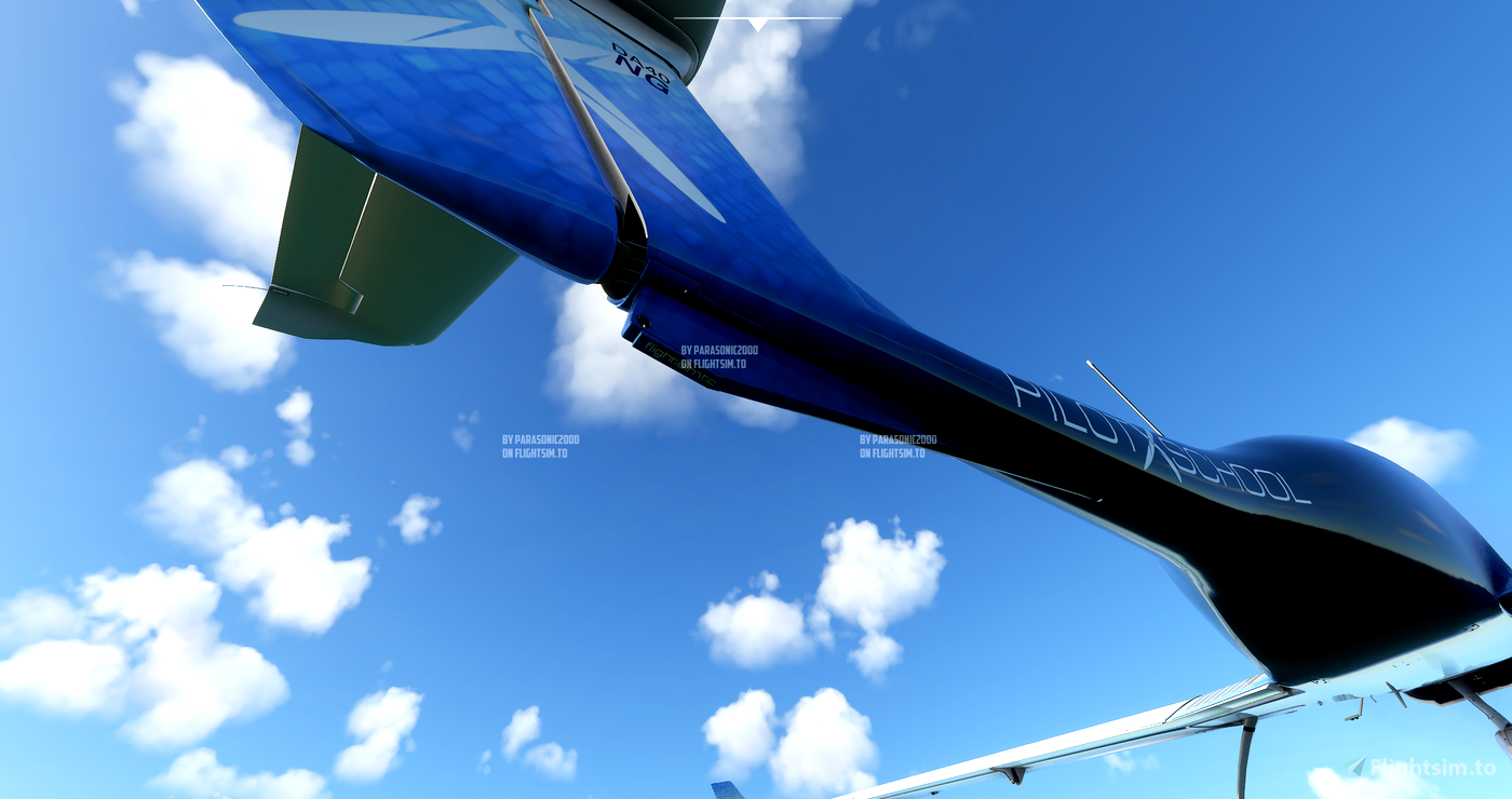 Diamond DA40-NG - NEXGEN Pilot School [VERSION 1.10.7.0] for Microsoft ...