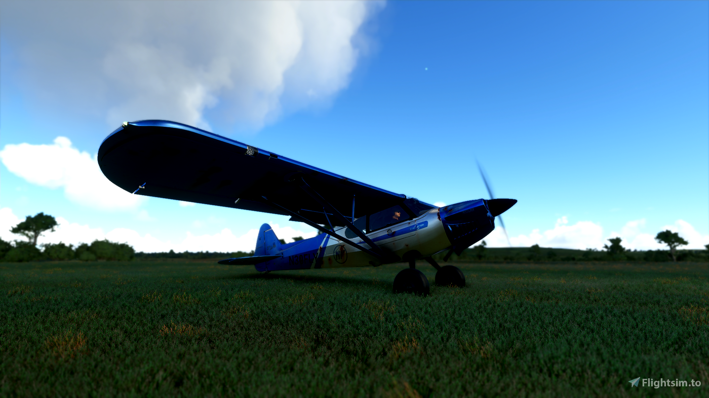 X-Cub Rusty Neofly (Metal Version) for Microsoft Flight Simulator | MSFS