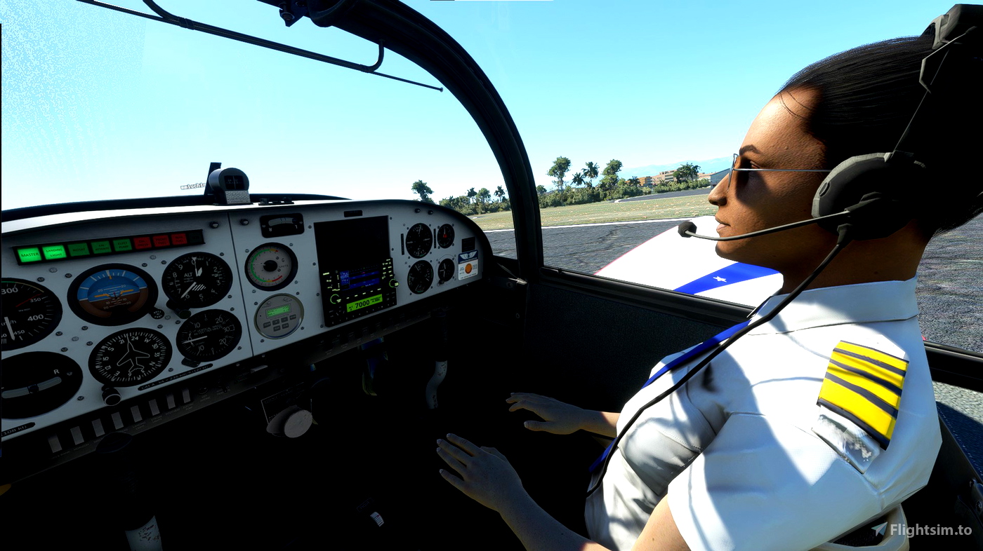 Add Co-pilot to your cockpit (Standard Edition) for Microsoft Flight ...