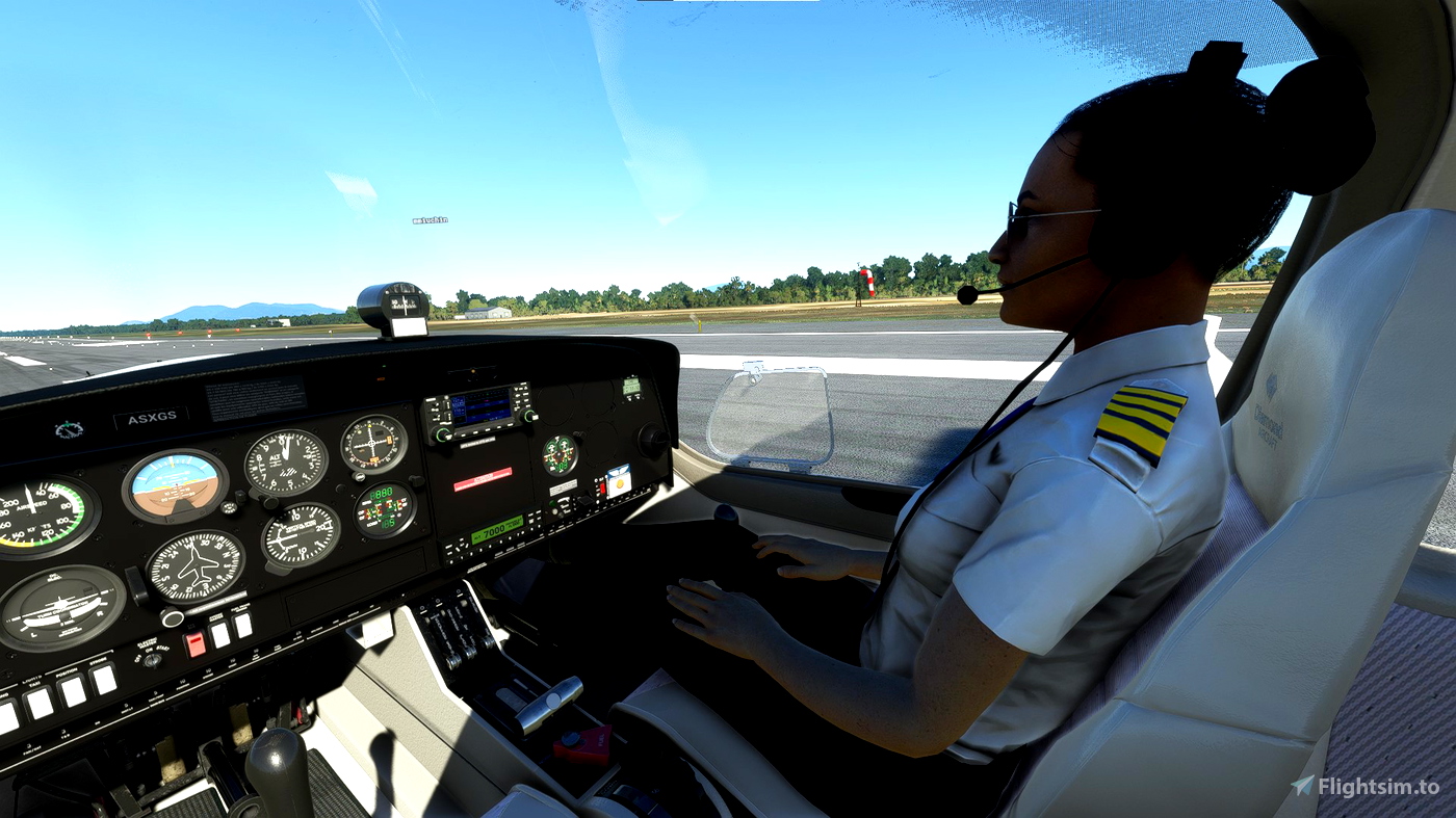 Add Co-pilot to your cockpit (Premium Deluxe Edition) for Microsoft ...