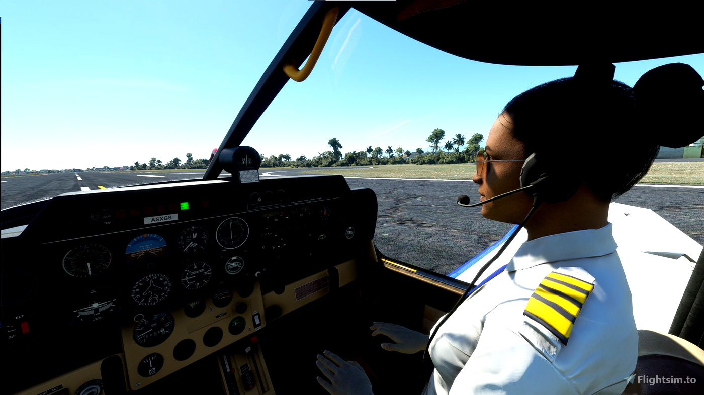 Add Co-pilot to your cockpit (Standard Edition) for Microsoft Flight ...