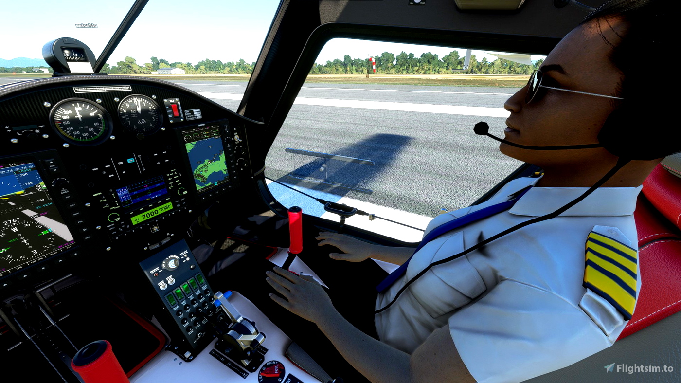 Add Co-pilot to your cockpit (Premium Deluxe Edition) voor Microsoft ...