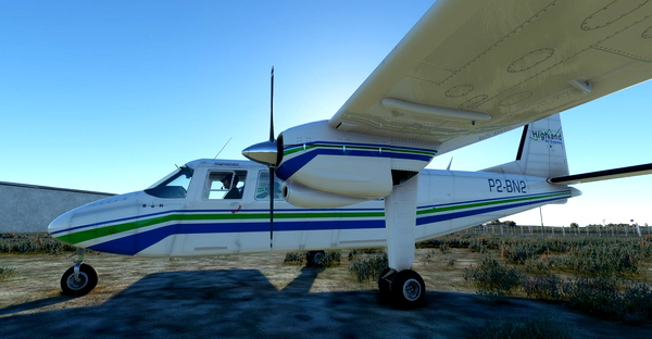 BN-2A AirFlamenco N903GD for Microsoft Flight Simulator | MSFS