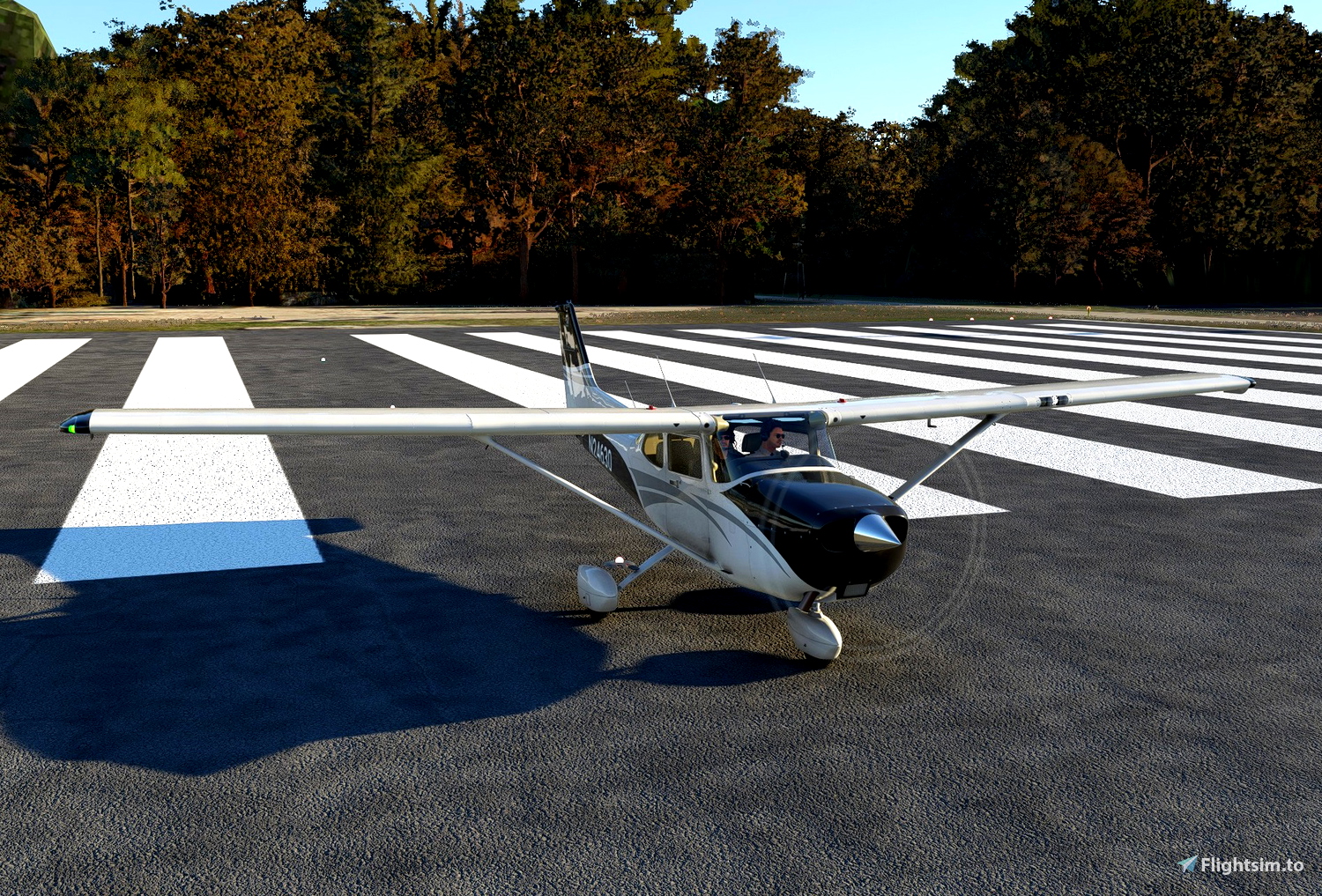 Cessna 172 Liveries for Microsoft Flight Simulator | MSFS | Flightsim.to