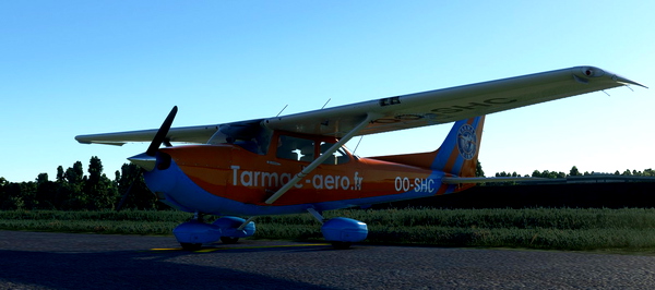 C172 Classic CFS Ced Flight Simulators for Microsoft Flight Simulator ...