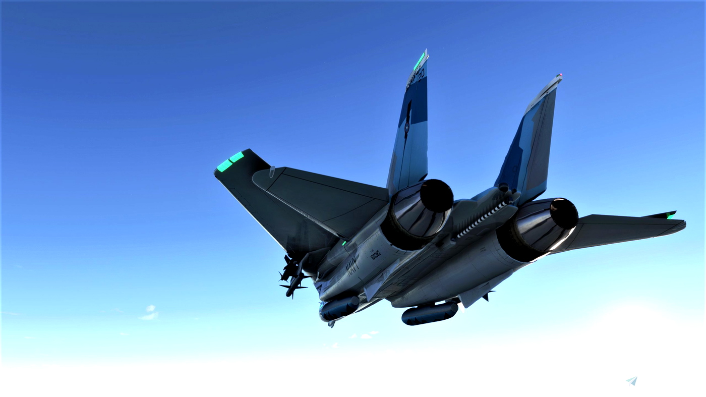 F-14B NSAWC (Real Top Gun) Splinter Scheme (Livery Only) for Microsoft ...
