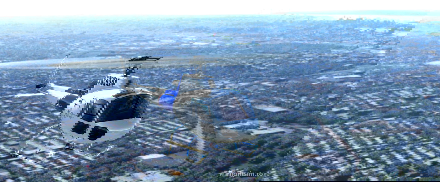 DHS Customs and Border Protection N3938A for Microsoft Flight Simulator ...