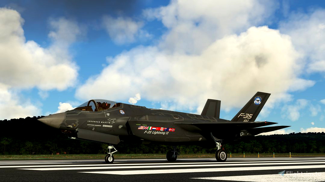 F-35 AA-1 Prototype Demo Team for Indiafoxecho F-35A for Microsoft ...