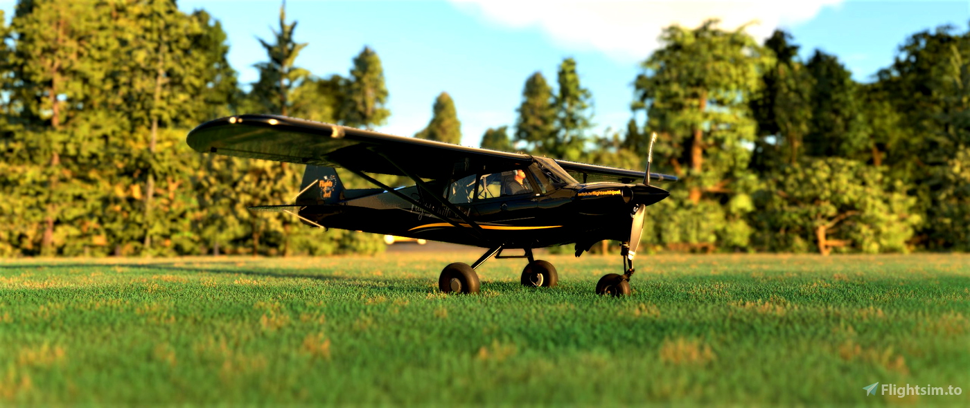 (8K) Monster NX Cub - Flights With Joel Pack for Microsoft Flight ...