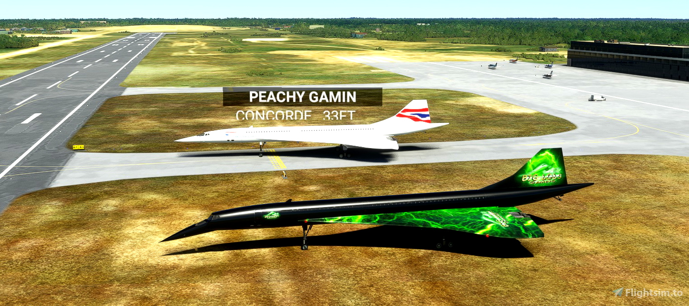 BIGLOLS CONCORD for Microsoft Flight Simulator | MSFS