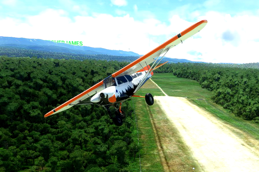 Bush Divers GotGravel-Monster NX-Cub Livery for Microsoft Flight ...