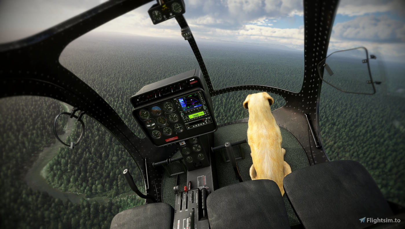 Got Friends - EA-7 Edgley Optica for Microsoft Flight Simulator | MSFS