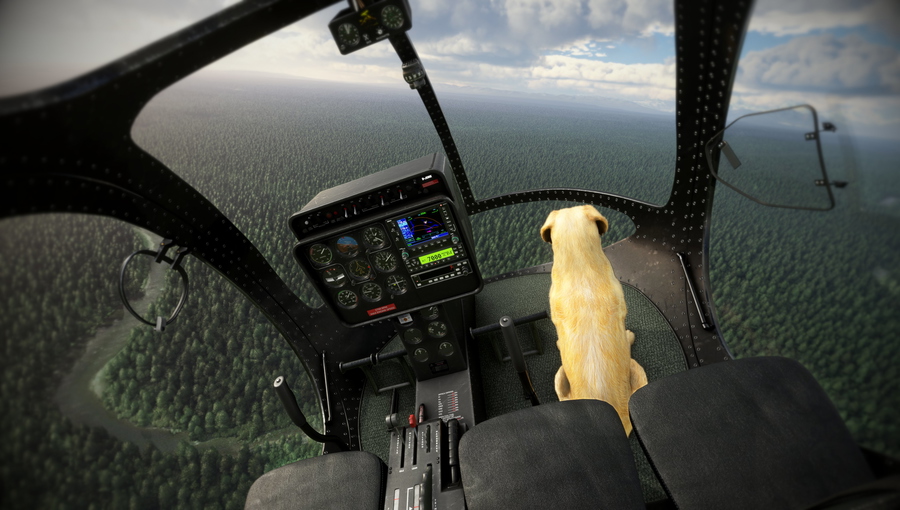 Got Friends - EA-7 Edgley Optica for Microsoft Flight Simulator | MSFS