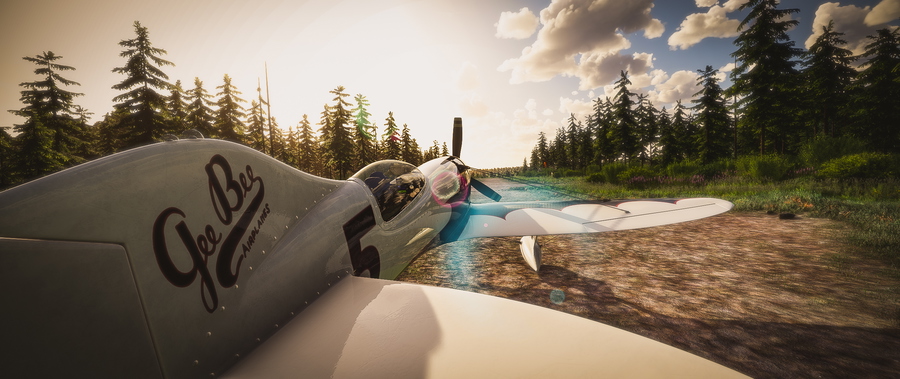 Got Friends - Gee Bee R3 Special for Microsoft Flight Simulator | MSFS