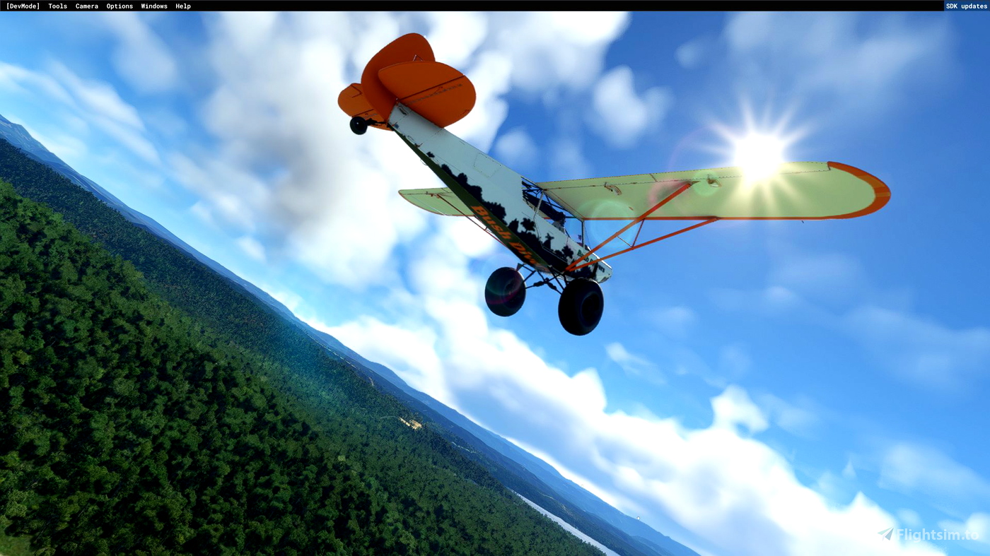 GotGravel Monster Cub , Savage Carbon, Asobo Savage Cub Bush Divers ...