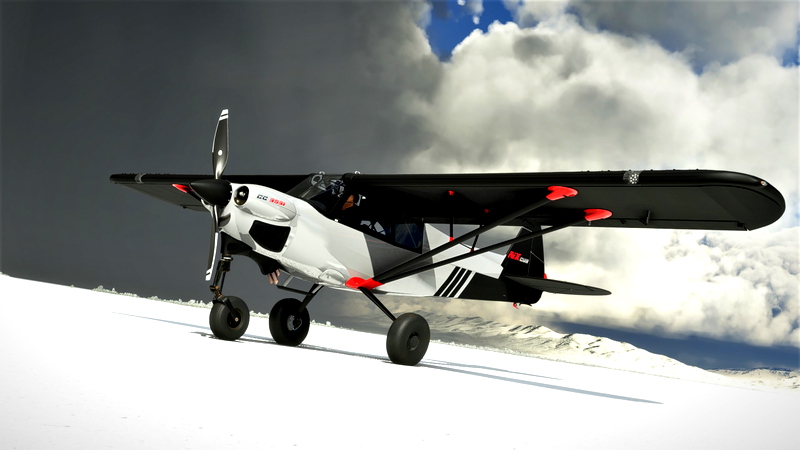 Monster NX Cub STOL Addicts Pack for Microsoft Flight Simulator | MSFS