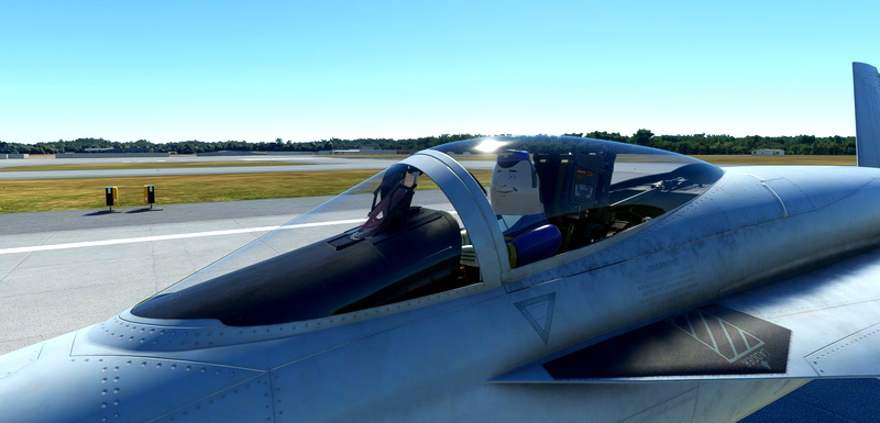 "Otto Pilot" Avatar for Microsoft Flight Simulator | MSFS