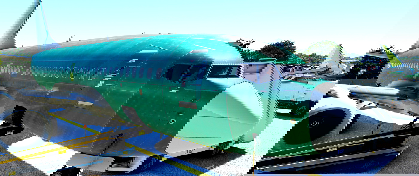 737-700 Factory Roll out livery for Microsoft Flight Simulator | MSFS