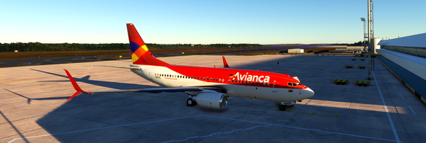 Valujet 737-700 for Microsoft Flight Simulator | MSFS