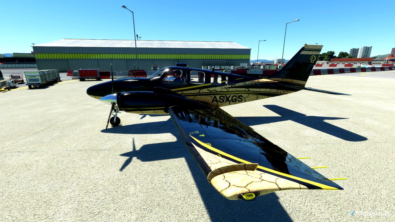 Beechcraft Baron Liveries for Microsoft Flight Simulator | MSFS ...