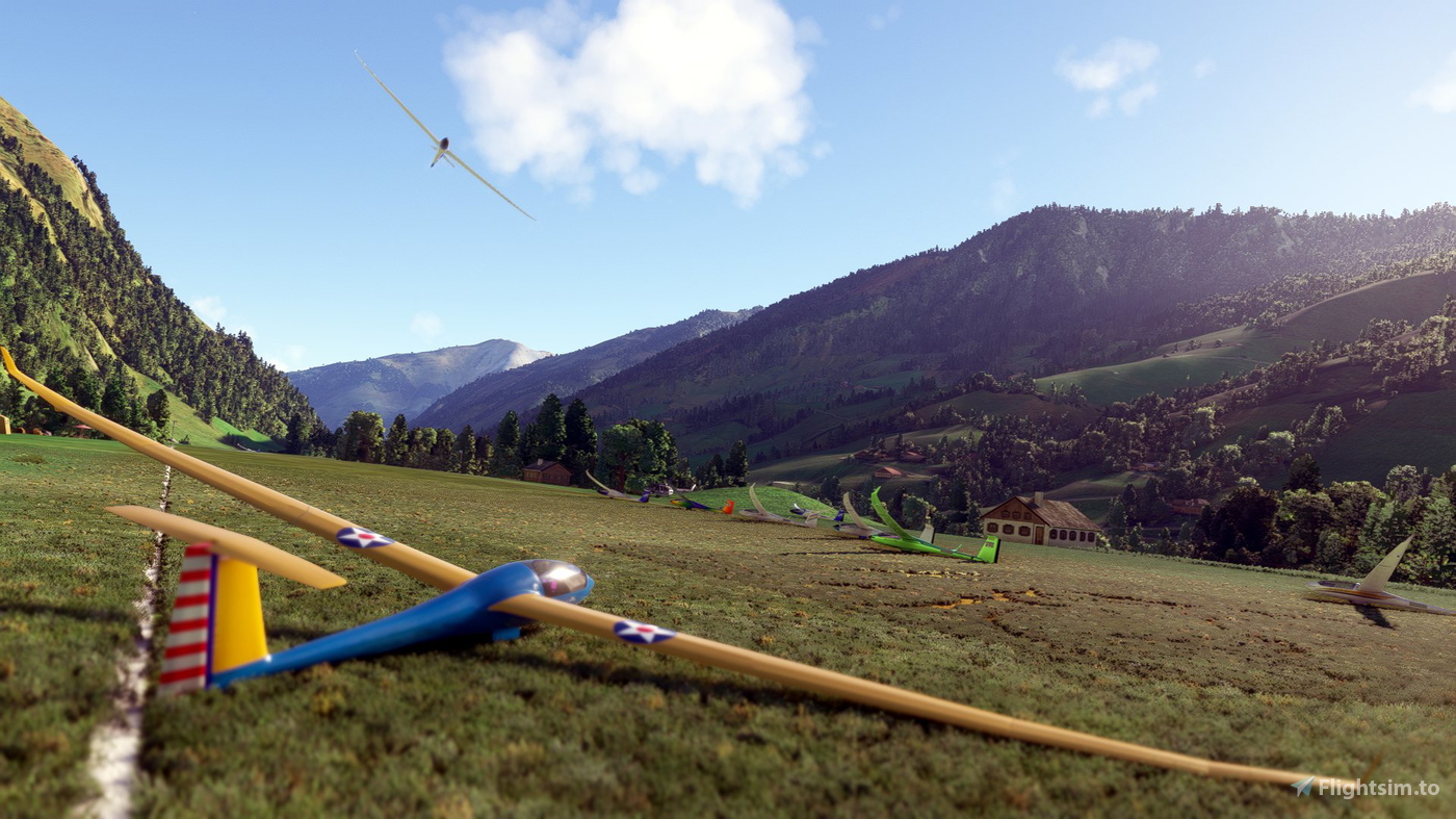 Got Friends - Discus-2c: Premium for Microsoft Flight Simulator | MSFS