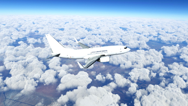 Texas Kelva (N260DV) PMDG 737-700BBJ - 8K for Microsoft Flight ...