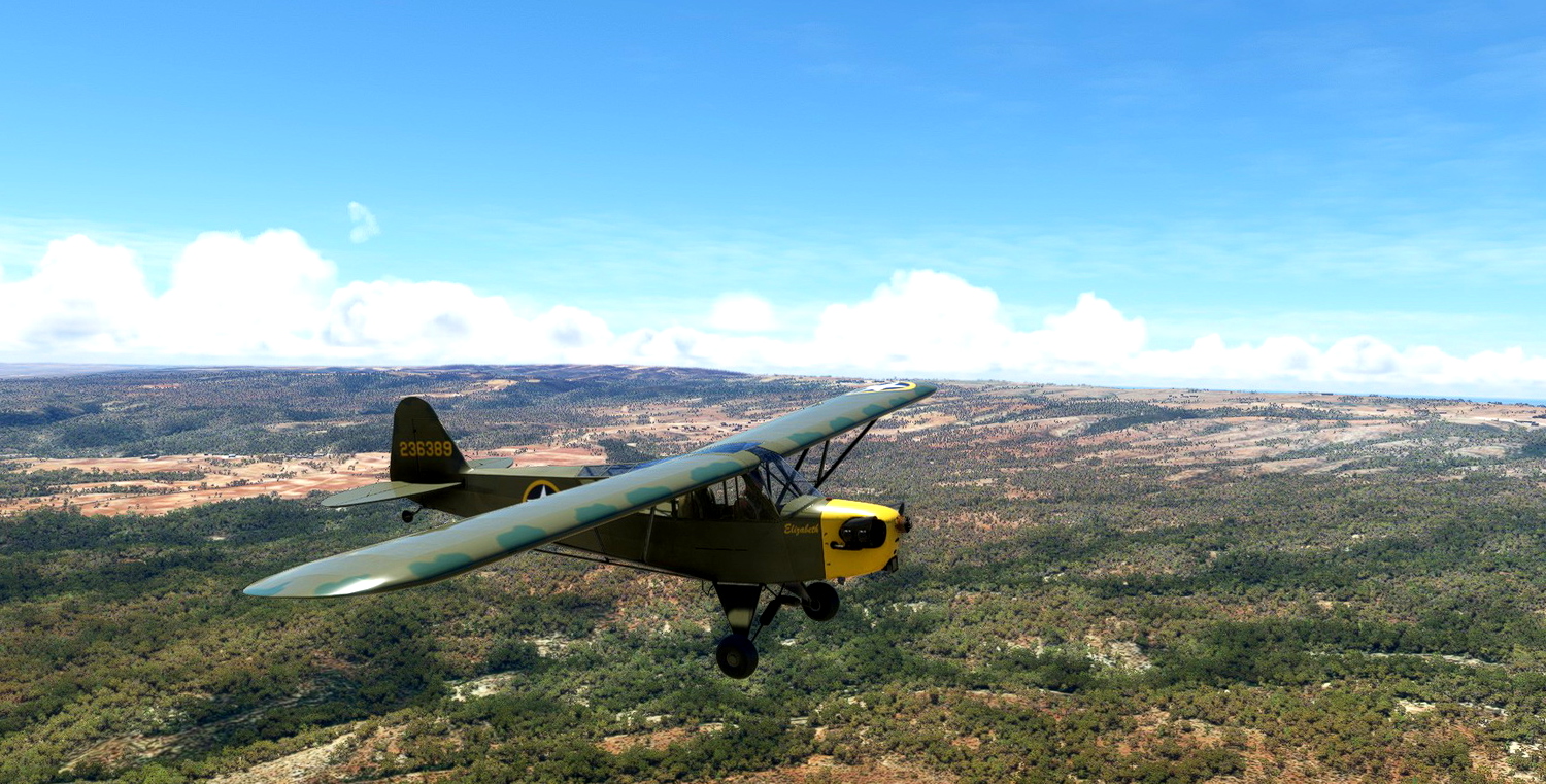Piper L-4 Liveries for Microsoft Flight Simulator | MSFS | Flightsim.to