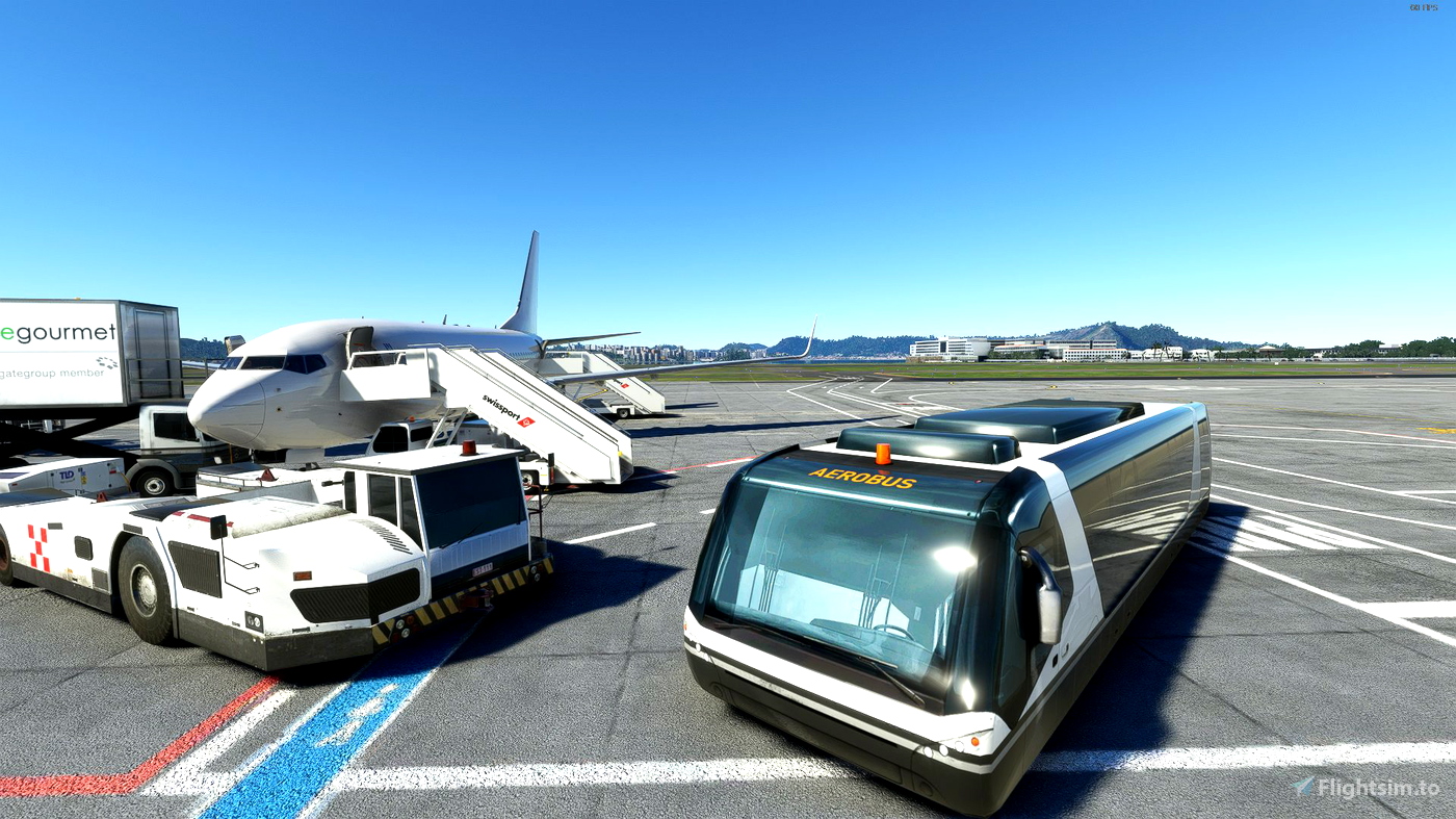 PMDG 737 Vehicles, Trucks and Stairs Textures for Microsoft Flight ...