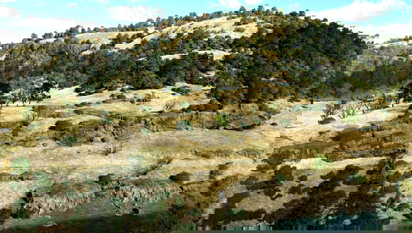 //42 | 42ST Sharktooth Ridge for MSFS