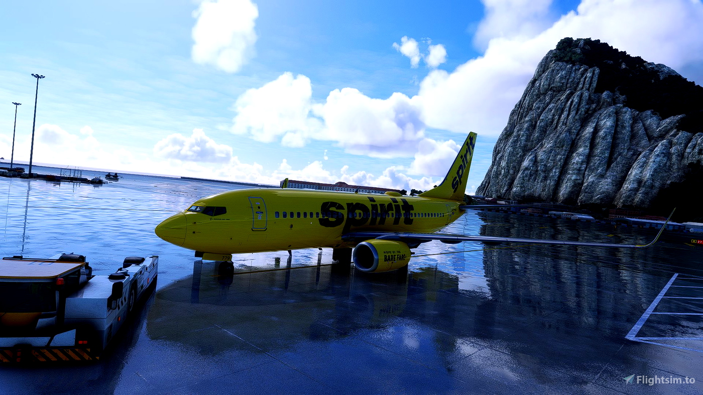 737-700 Spirit Airlines (N779NK) for Microsoft Flight Simulator | MSFS