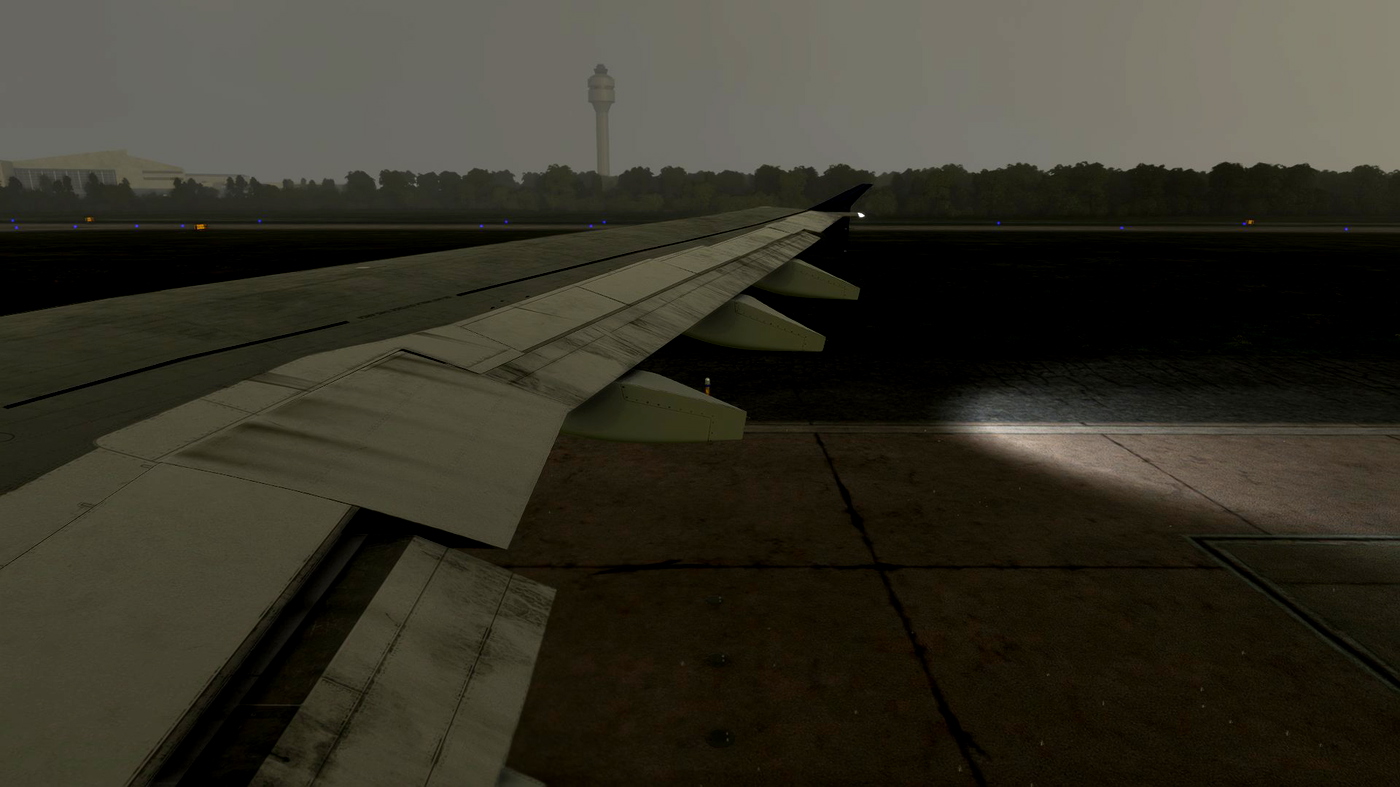 A310 Wing Views for Microsoft Flight Simulator | MSFS
