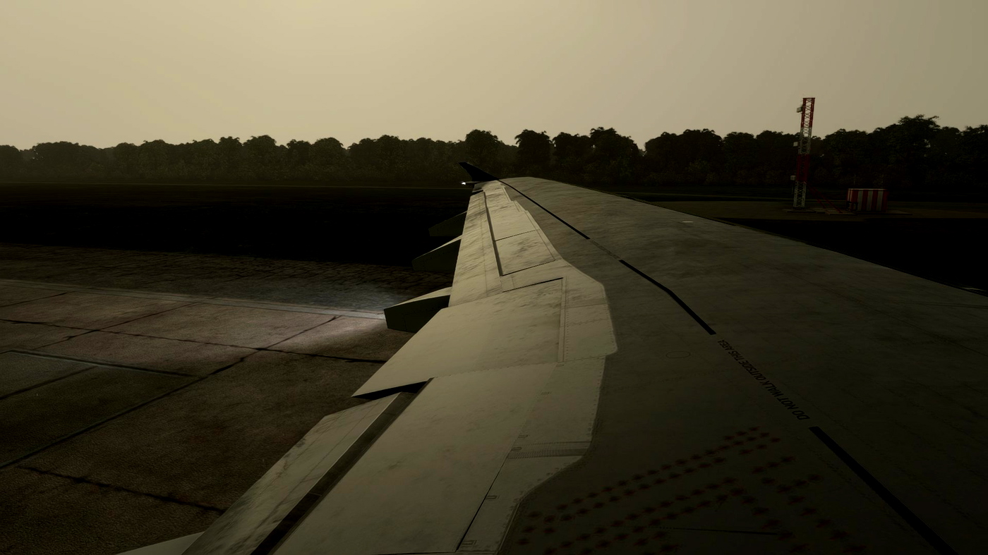 A310 Wing Views for Microsoft Flight Simulator | MSFS