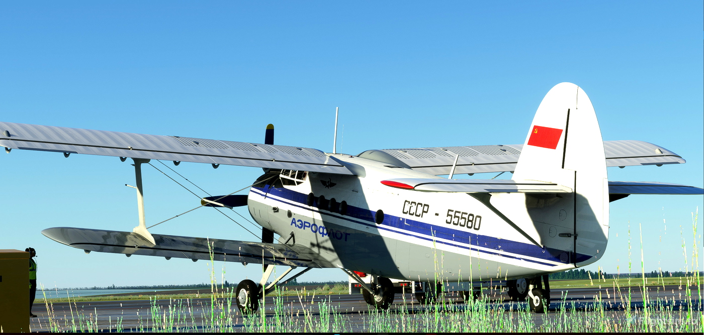 Antonov-2 Aeroflot USSR-55580 のために Microsoft Flight Simulator | MSFS