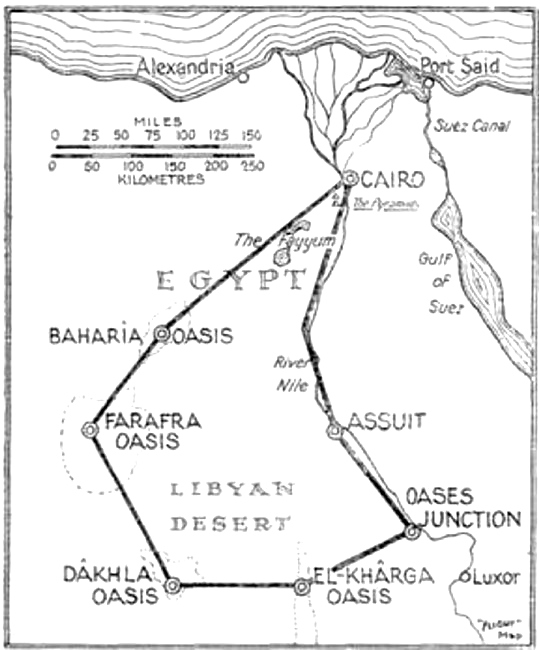 Bf-108 Taifun "International Circuit of the Oasis race" D-IBMY for ...
