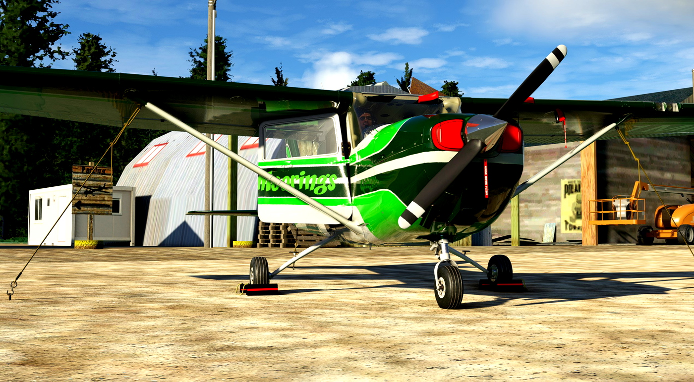 C172 G1000 Wheels and Amphibian RTMM livery for Microsoft Flight ...