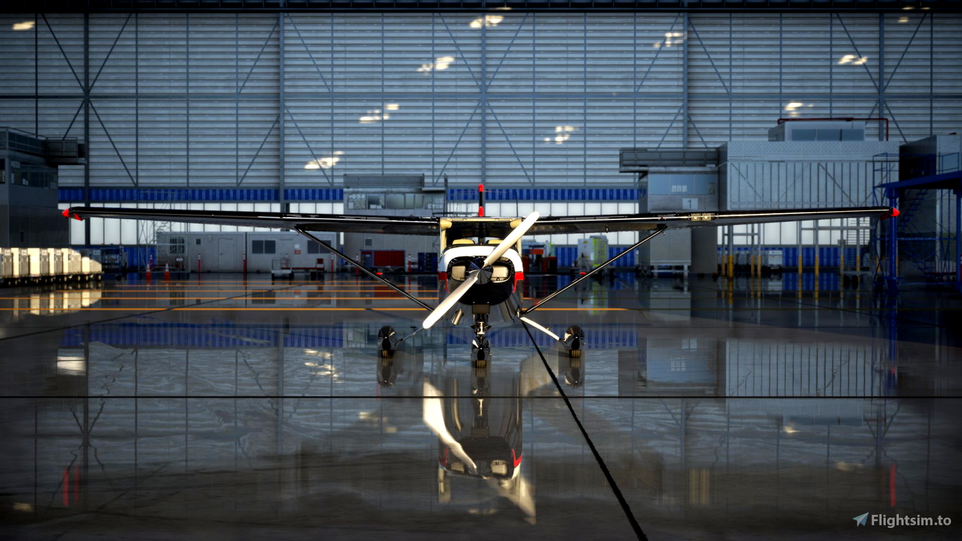 Cessna 172 Austrian Air Force for Microsoft Flight Simulator | MSFS