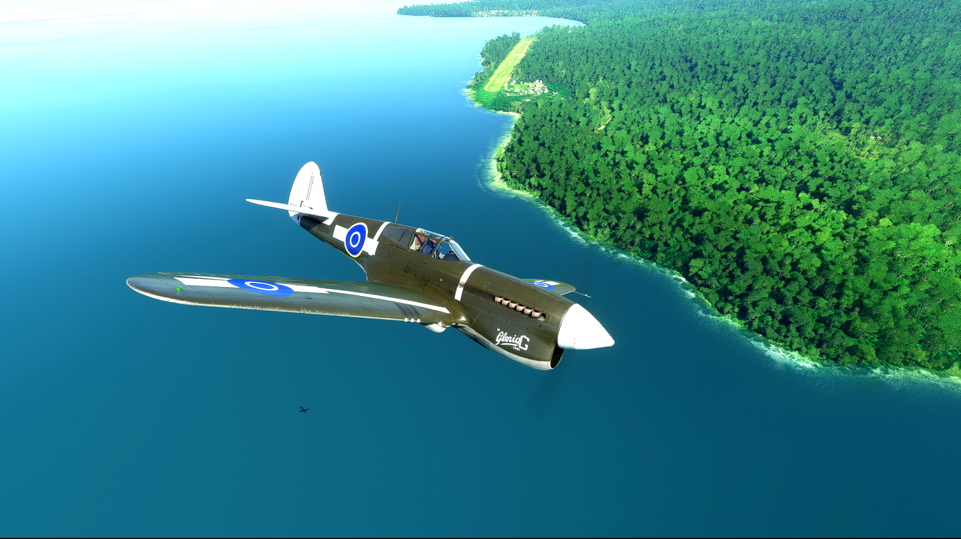 Curtiss P-40F RNZAF NZ3148 G "Gloria Lyons" for Microsoft Flight ...