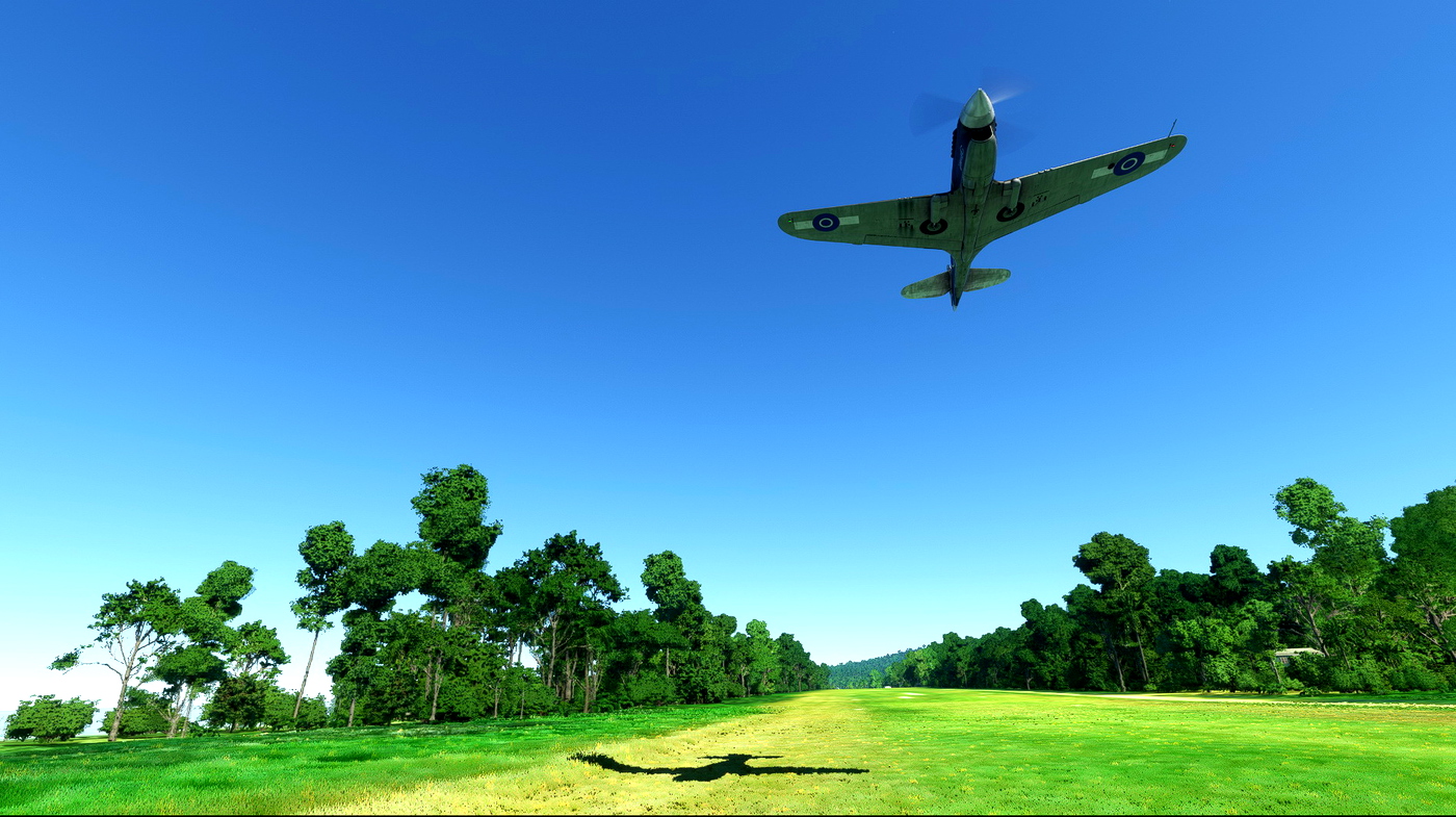 Curtiss P-40F RNZAF NZ3148 G "Gloria Lyons" for Microsoft Flight ...