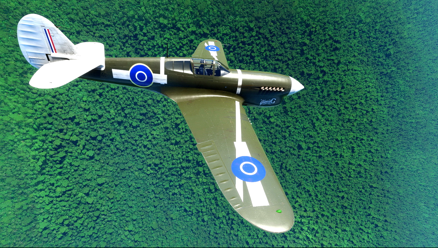 Curtiss P-40F RNZAF NZ3148 G "Gloria Lyons" for Microsoft Flight ...