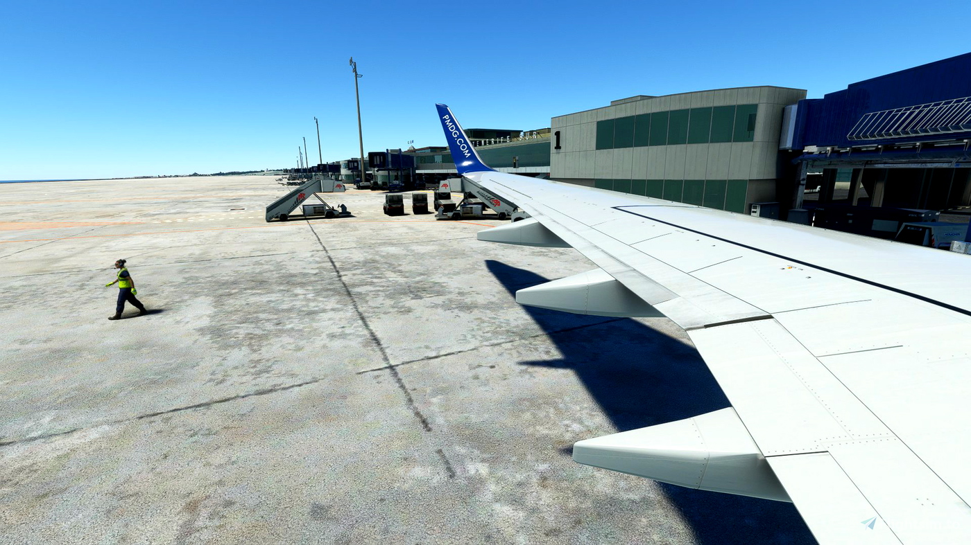 Custom Camera Views for PMDG 737-800 / BBJ2 / BCF / BDSF for Microsoft ...