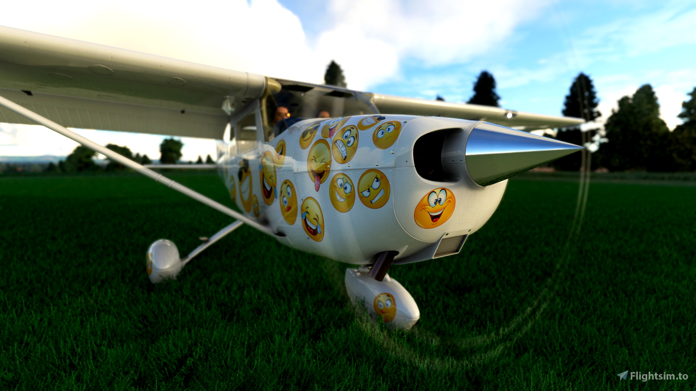 D-EJSU EvAir "Emoji Livery" [Cessna 172 G1000] (8K) for Microsoft ...