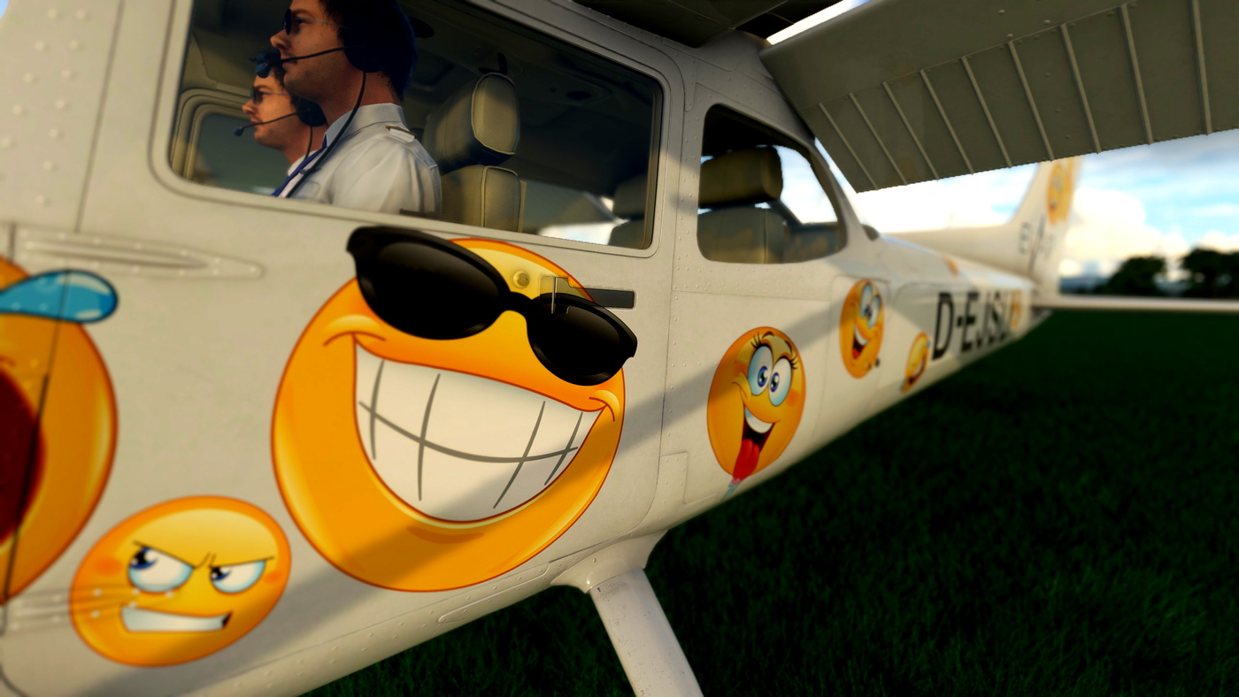 D-EJSU EvAir "Emoji Livery" [Cessna 172 G1000] (8K) for Microsoft ...