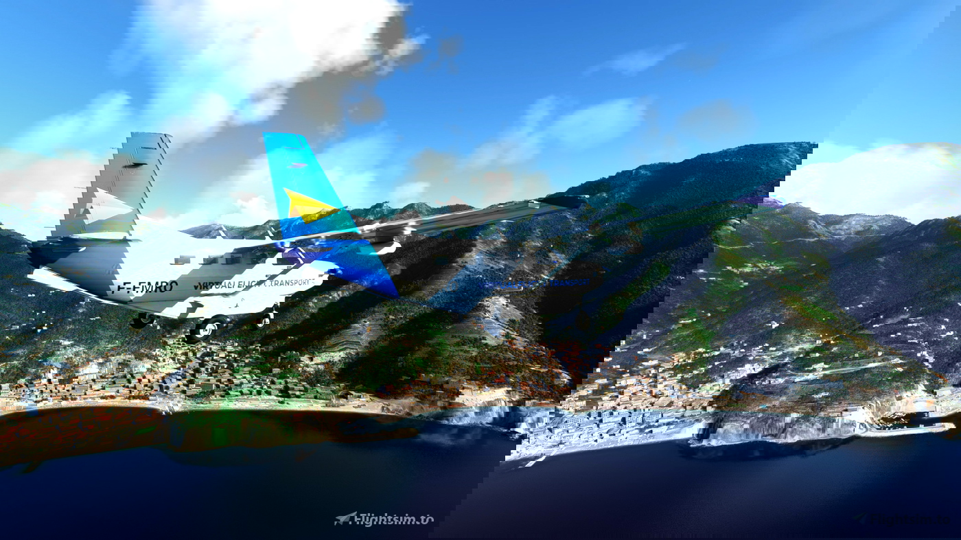 Daher Kodiak 100 Series II - VirtualFlight Transport Livery Pack for ...