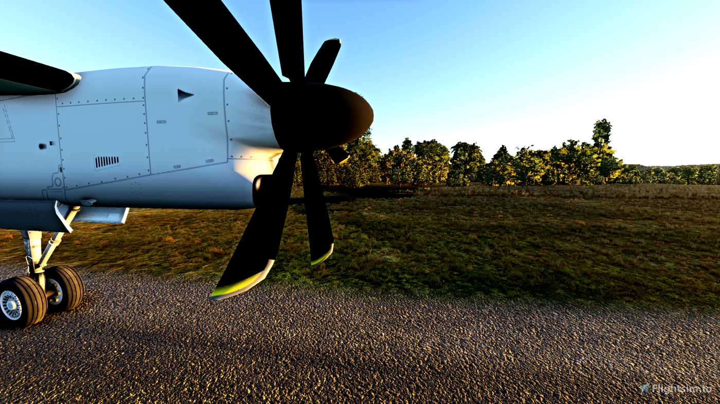 Dash8-Q400 Custom Wing Views for Microsoft Flight Simulator | MSFS