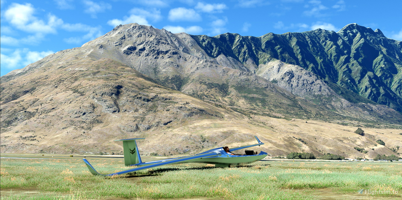 DG808S Silver Fox Livery for Microsoft Flight Simulator | MSFS