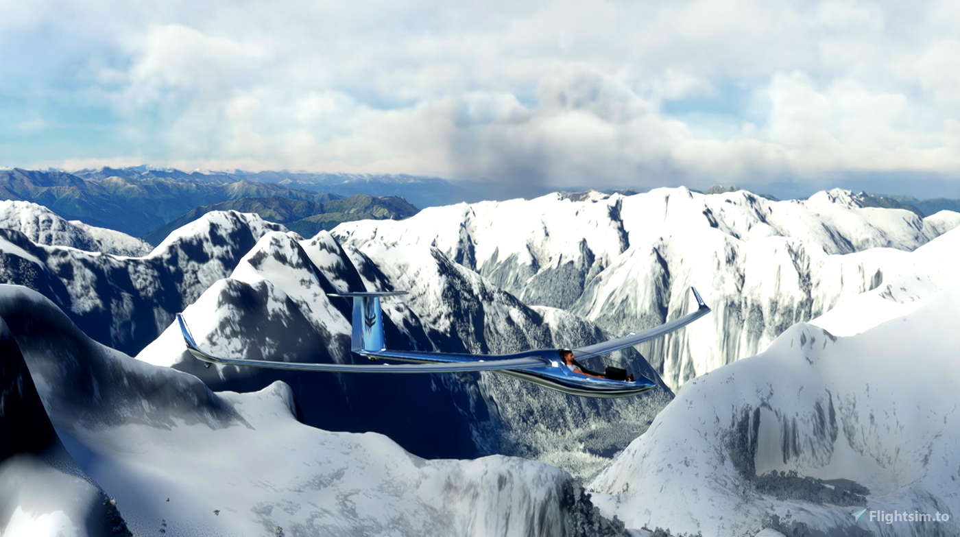 DG808S Silver Fox Livery for Microsoft Flight Simulator | MSFS