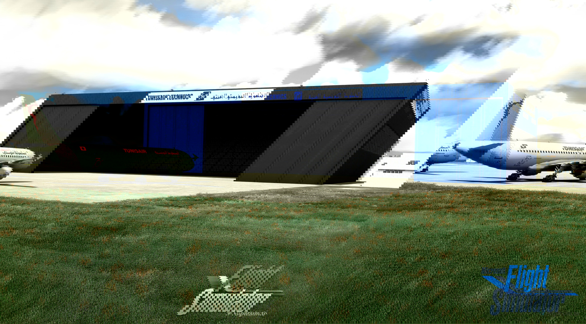 Prealsoft » DTTA - Tunis Carthage Airport » Microsoft Flight Simulator