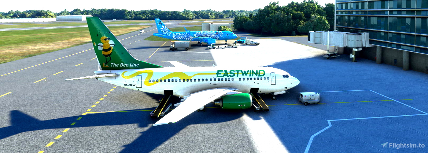Eastwind Airlines PMDG 737-600 736 for Microsoft Flight Simulator | MSFS